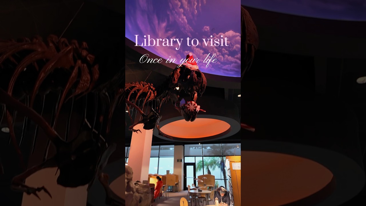 The wildest library I've ever seen