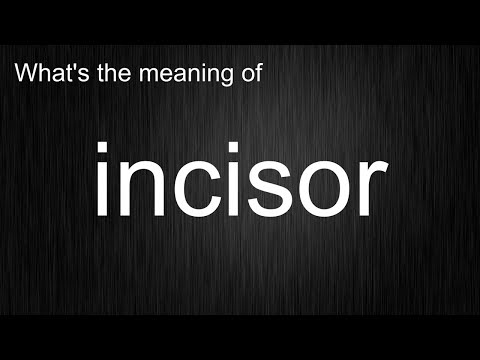 Easily Master incisor Pronunciation and Usage Skills, Sound More Native!
