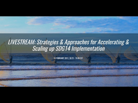 Strategies & Approaches for Accelerating & Scaling up SDG14 Implementation