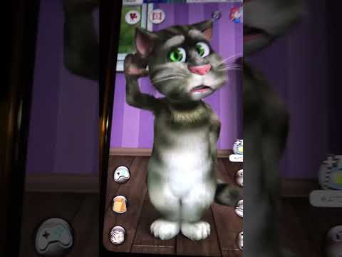 Talking Tom Cat 2 Glitch