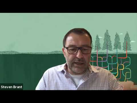 The Common Data Environment, Model Coordination and the Digital Twin revolution - Member Lean In