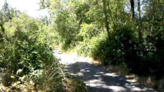 3 Best Hiking Trails in Santa Rosa, CA - Expert Recommendations