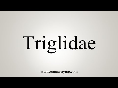 How To Say Triglidae
