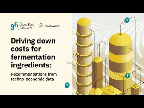 Driving down costs for fermentation: Recommendations from techno-economic data