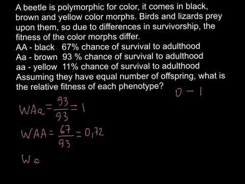 What is relative fitness and how it is calculated