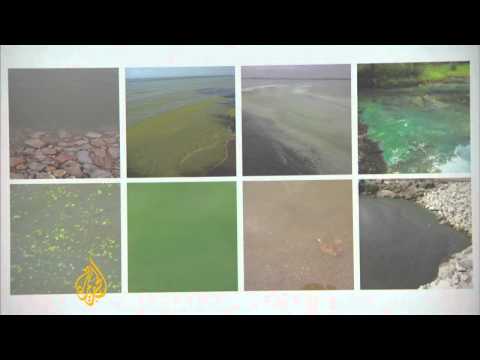 US Lake Erie suffocated by toxic algae