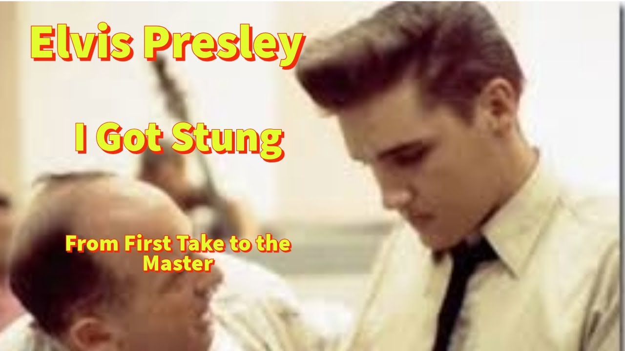 Elvis Presley - I Got Stung - From First Take to the Master