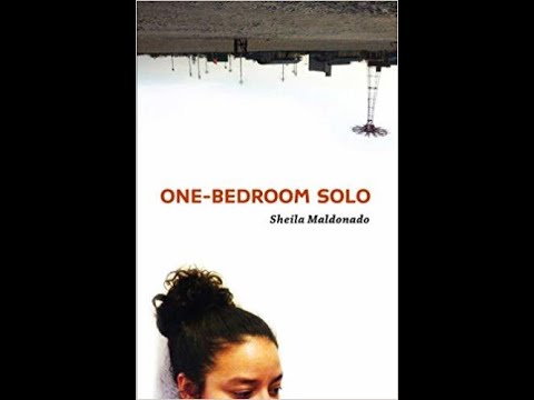 Plot summary, “One-Bedroom Solo” by Sheila Maldonado in 4 Minutes - Book Review
