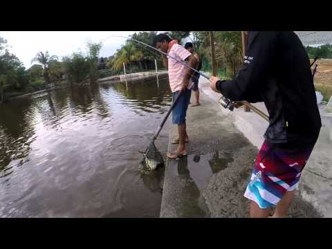 Damai Fishing Village !