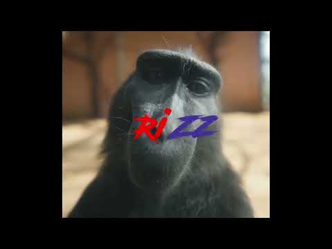 Monkey rizz๐ฟ#shorts #monkey #edit #memes