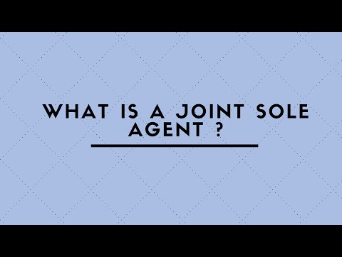 WHAT IS A JOINT SOLE AGENT ?