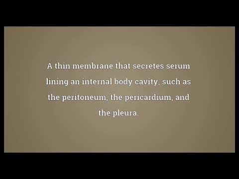 Serous membrane Meaning