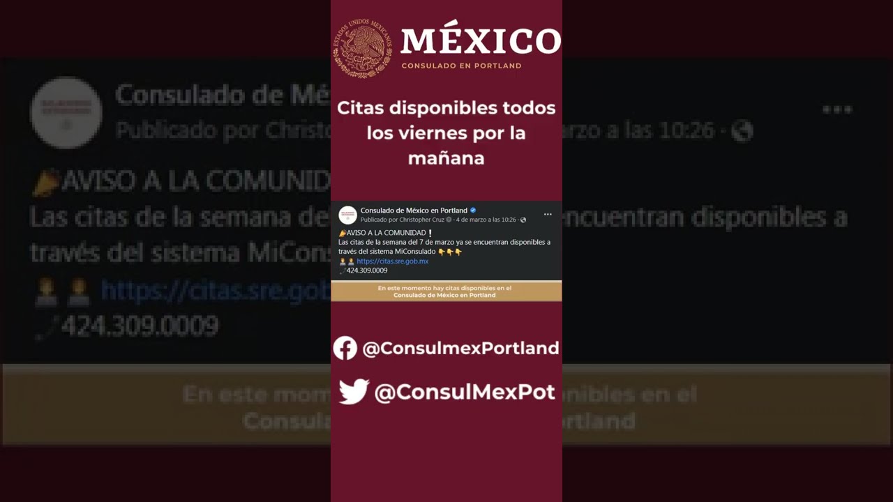 Como hacer una cita de Pasaporte, Matrícula Consular o INE