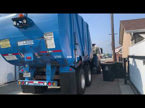 A Full Garbage Collection Week in my Alley: Memorial Day 2025