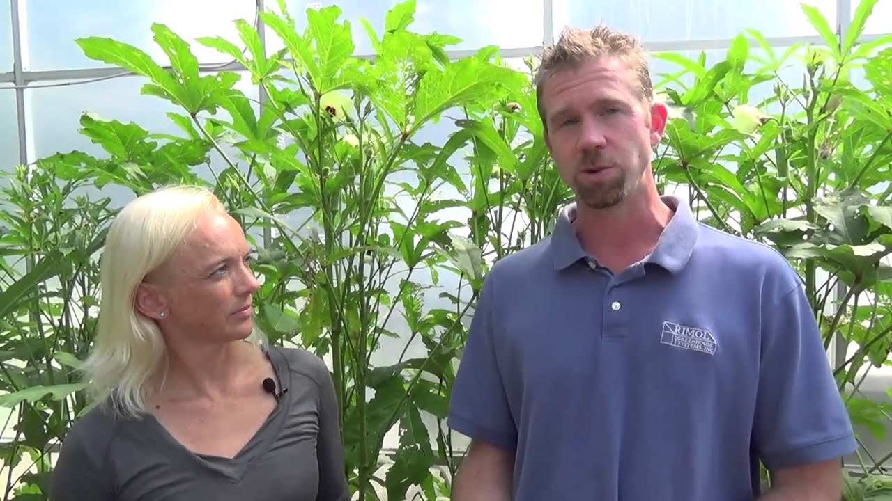 Insect & Disease Control For Your Greenhouse