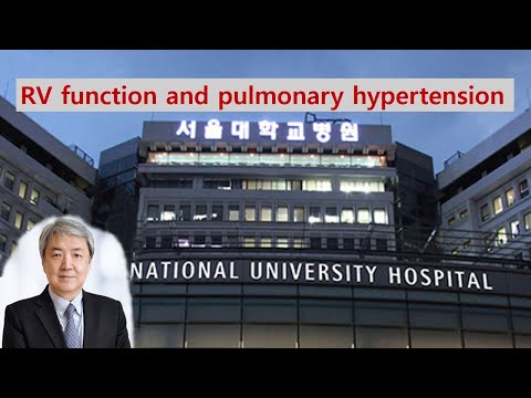 RV function and pulmonary hypertension