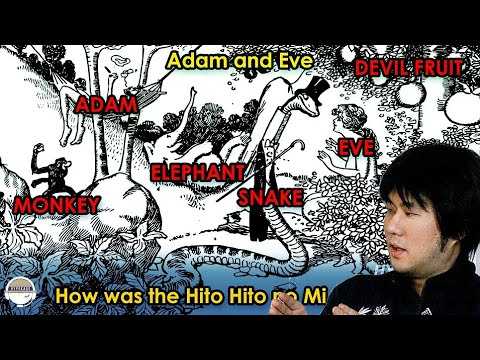 How Was the Hito Hito no Mi created?