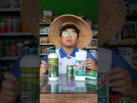 Pakai Pupuk Daun seperti Ultradap, Gandasil Daun, atau Morden Foll ya Kak! #pupukdaun #ultradap