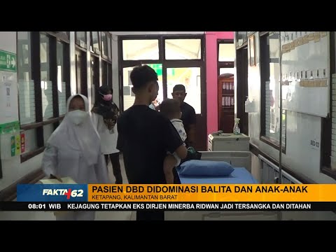 Waspada Peningkatan Penyakit Demam Berdarah - Fakta +62