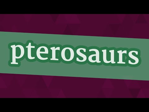 PTEROSAURS pronunciation • How to pronounce PTEROSAURS