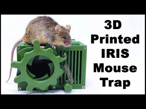 Mousetrap Monday – Shawn Woods | New Mousetrap Videos Every Week