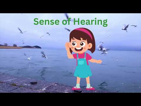 "Discovering the Five Senses: Fun Learning for Kids! | Sight, Hearing, Smell, Taste & Touch"
