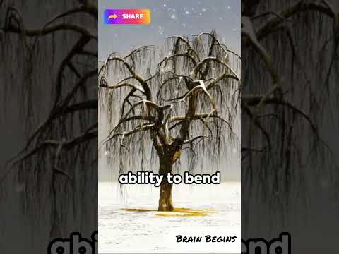 Succumb Yielding to Life's Challenges | Brain Begins | #vocabulary #vocab #brainbegins #ielts