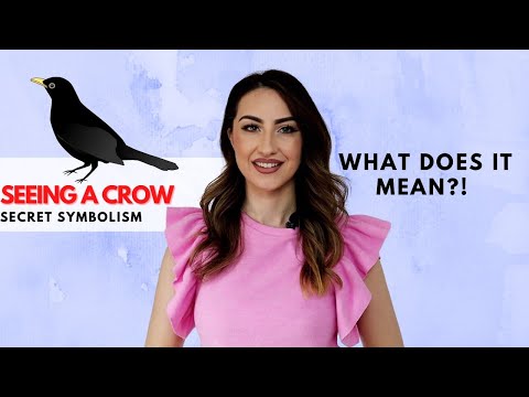Seeing Crow - What Does It Mean?!