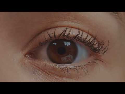 Unraveling the Mystery of Cognitive Function-5