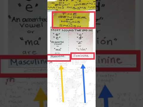 masculine or feminine in Spanish