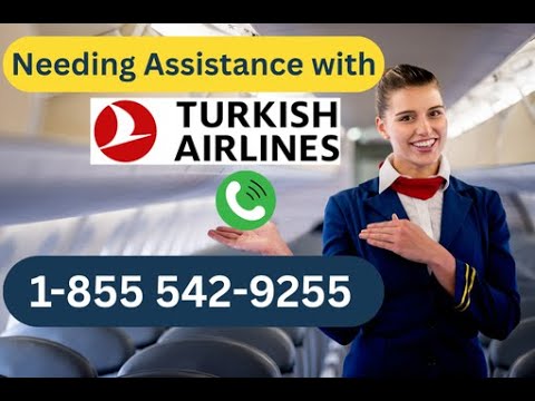 Best way to reach One Turkish Airlines support by Phone Number | Support for Booking, Cancel