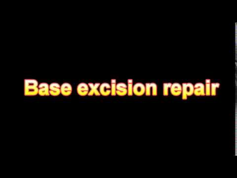 What Is The Definition Of Base excision repair Medical Dictionary Free Online