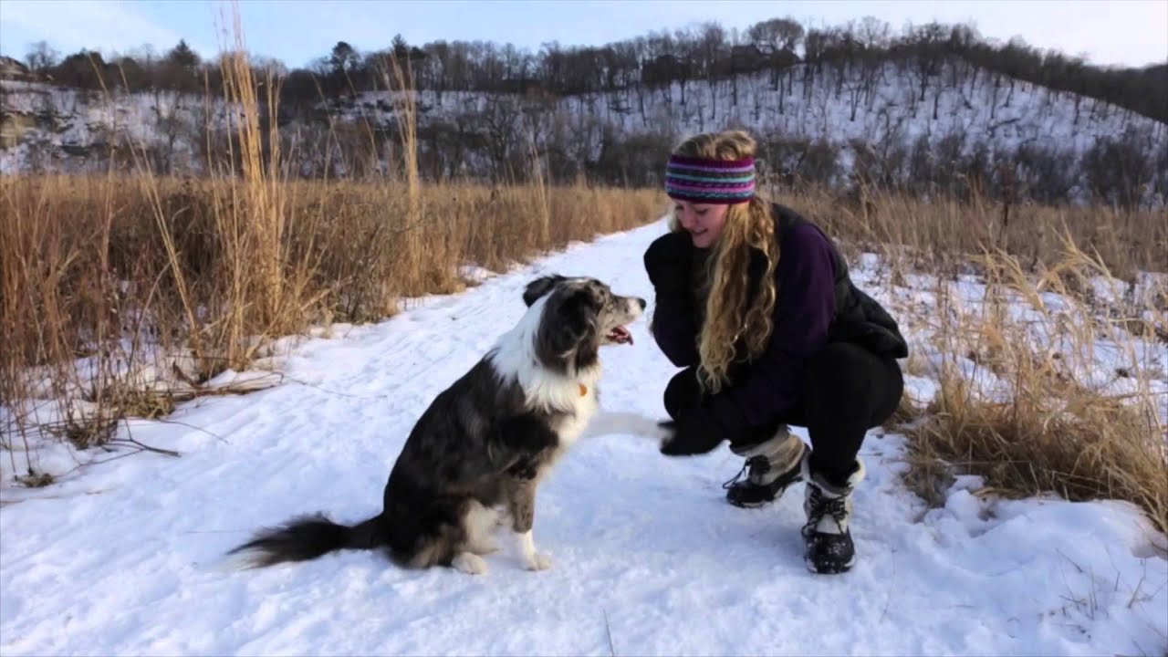 A Glimpse at Decorah Park-Rec