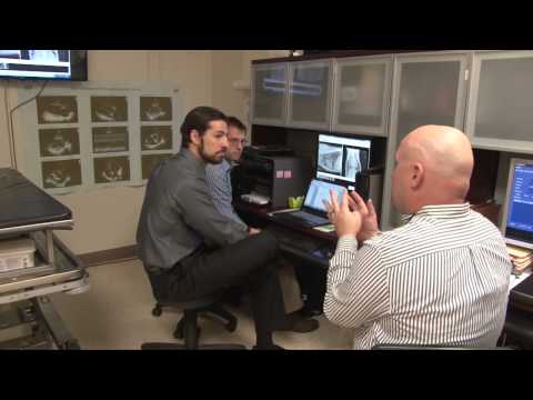 Dr. Baumwart's Impact on the cardiovascular research at OSU.