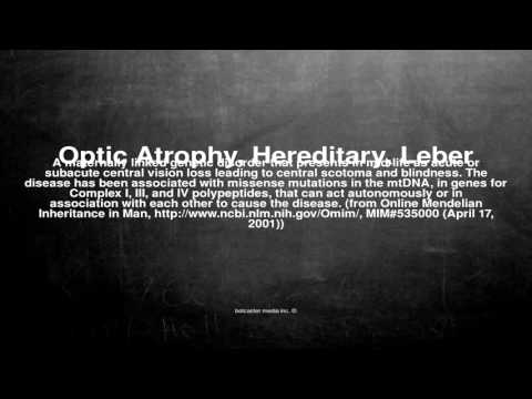 Medical vocabulary: What does Optic Atrophy, Hereditary, Leber mean