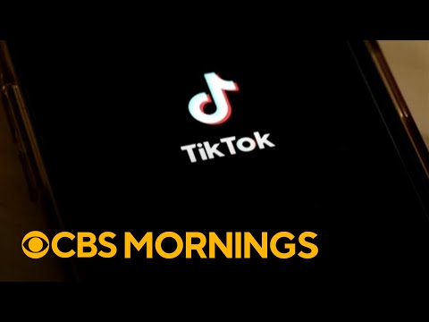What TikTok users need to know about potential bidders as platform faces another looming ban