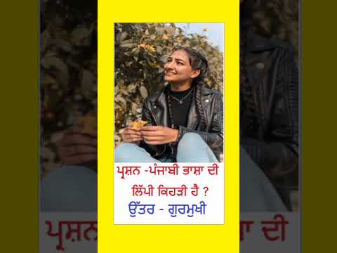 which is Punjabi Language Script in punjabi Language #shorts