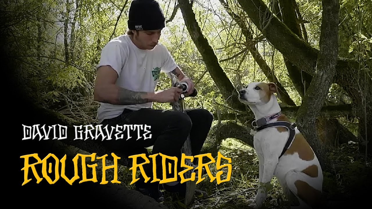 BONES WHEELS - DAVID GRAVETTE - ROUGH RIDERS