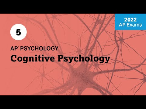 2022 Live Review 5 | AP Psychology | Cognitive Psychology