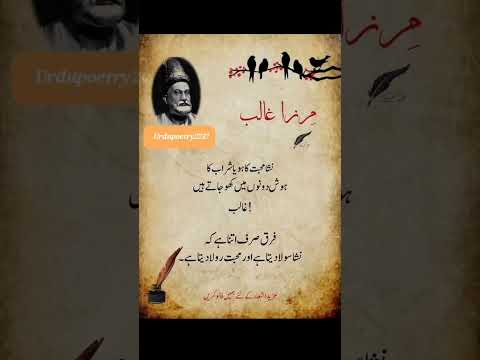 Mirza ghalib poetry |Turkish series with urdu subtitles |pakistani urdu Poetry β€οΈ