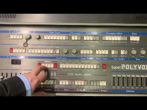 Solton Super Polyvox /Italo Disco Programmer 24 Module | Reverb