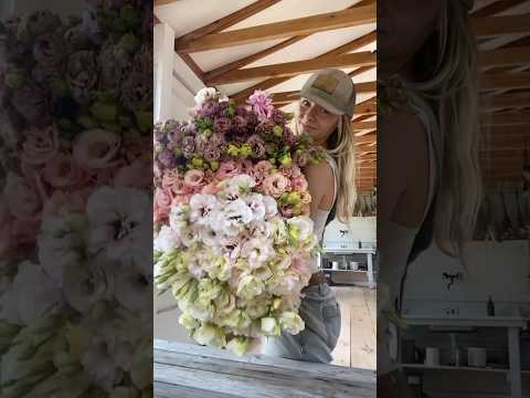 My FAVORITE cut flower is lisianthus: growing from seed saves tons of money! How to on our channel!