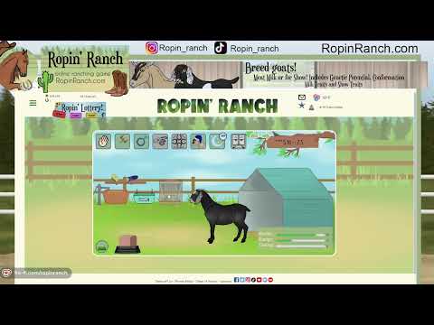 Ropin' Ranch Goat Breeding | Milk Traits