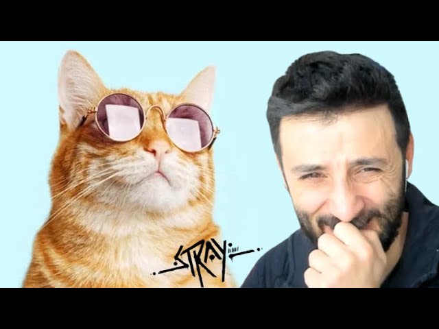 LAZ's Age, Bio, Net Worth, Career, Personal Life and FAQs