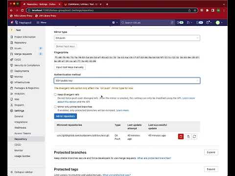Mirroring a repo from Heptapod (or GitLab) to GitLab.