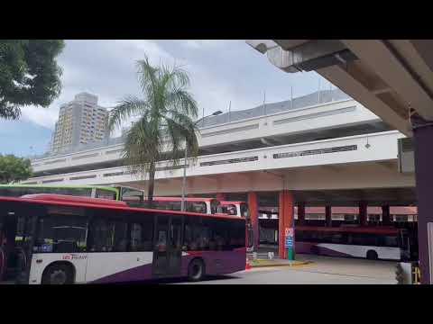 SBS Transit Bus 410W Scaina UnRefurBished (Batch 2)