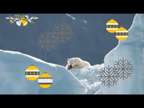 10.12: How Santa exports all his attachments via the avasis Attachment ZIP Exporter