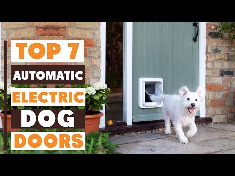 Best Automatic Electric Dog Doors for Easy Pet Access