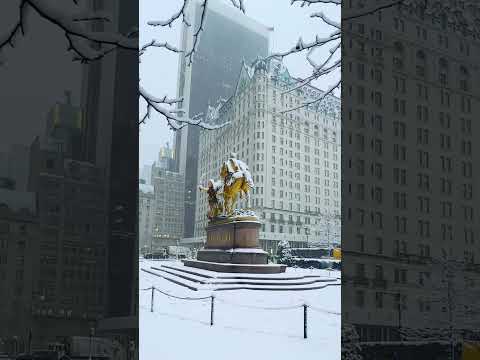 Most Magical Winter Wonderland at Grand Army Plaza and The Plaza Hotel in Manhattan, New York City