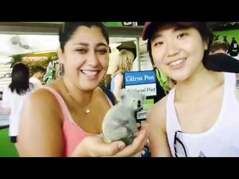3 free things to do in Cairns